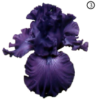 Серо-синий цвет и его сочетание | LOOKCOLOR